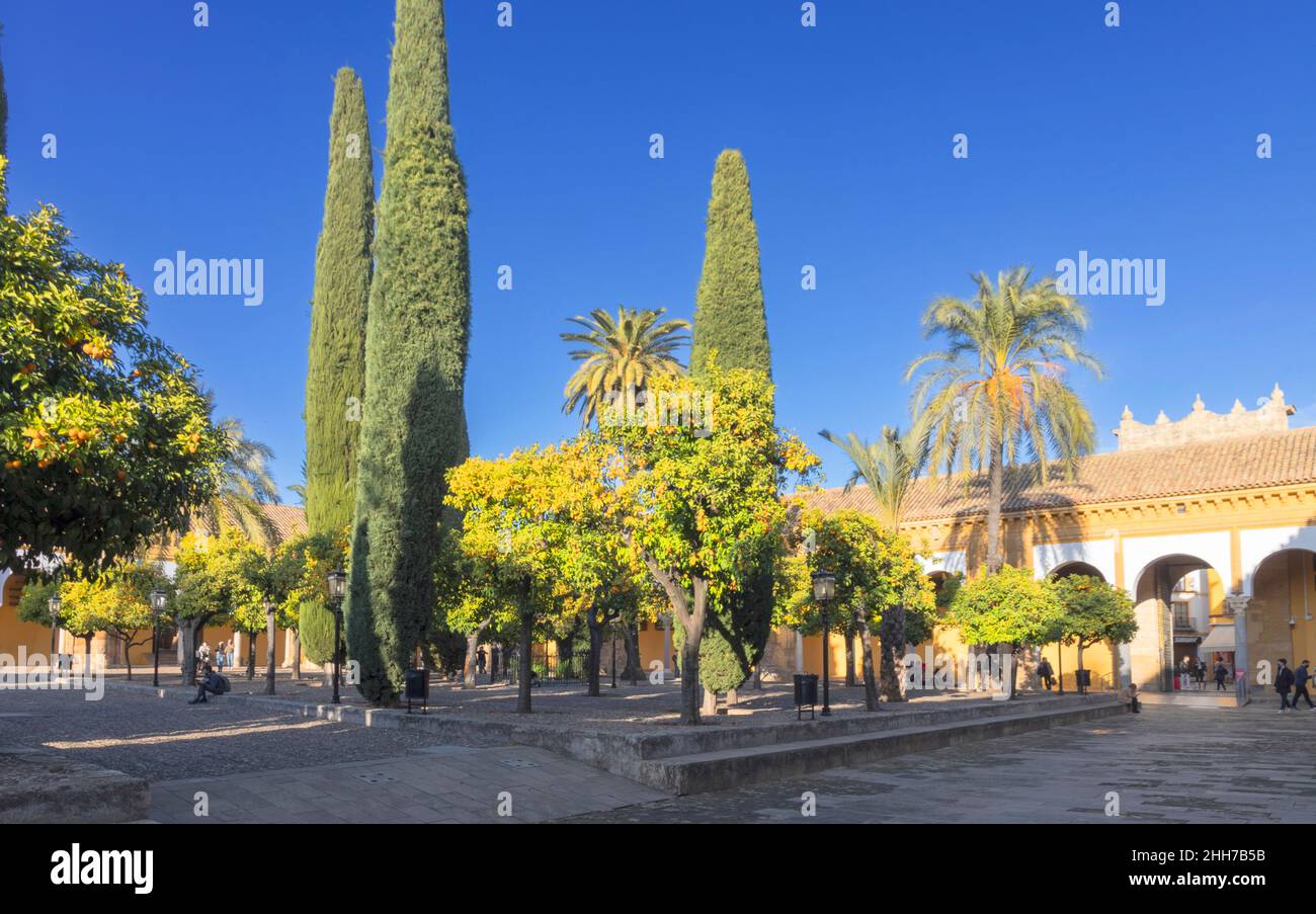 CATH DRALE DE LA MOSQU E DE CORDOUE ANDALOUSIE ESPAGNE LUMI RE DU