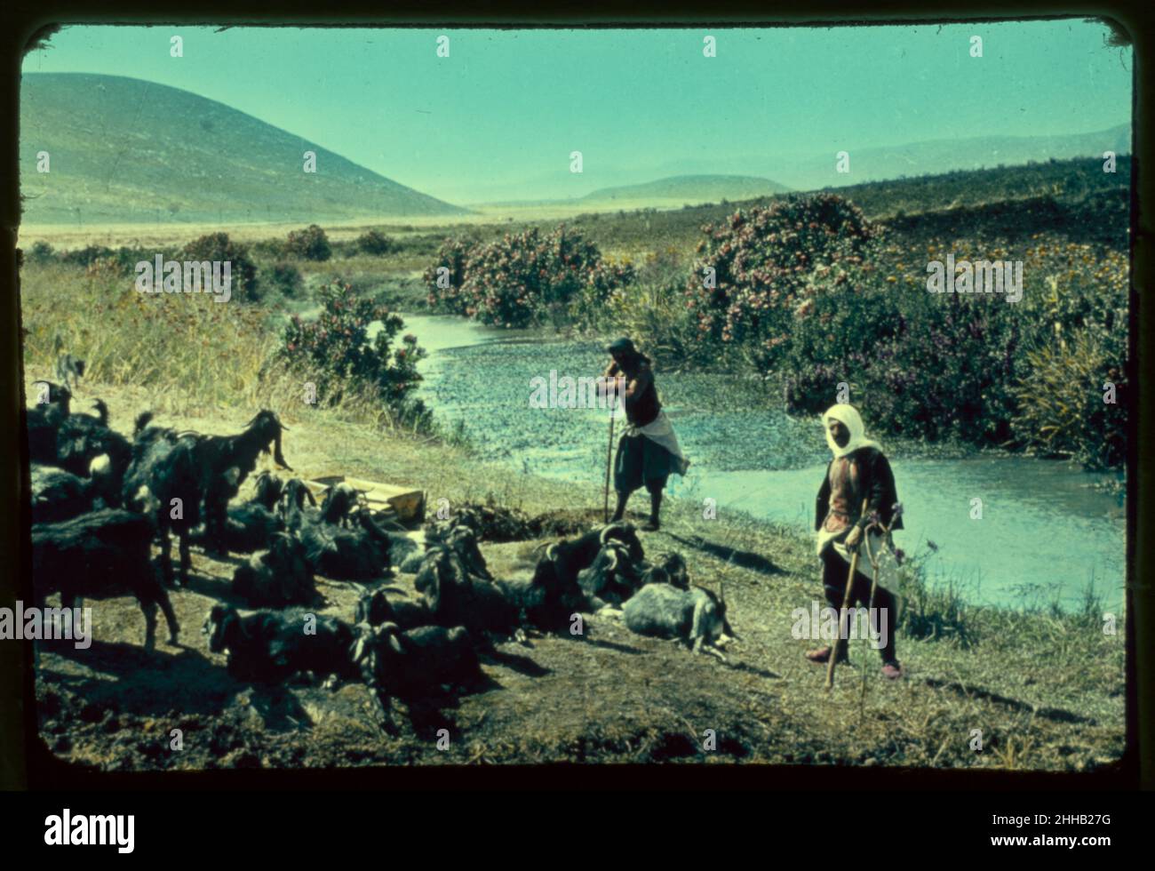 Rivière kishon Banque de photographies et d’images à haute résolution - Alamy