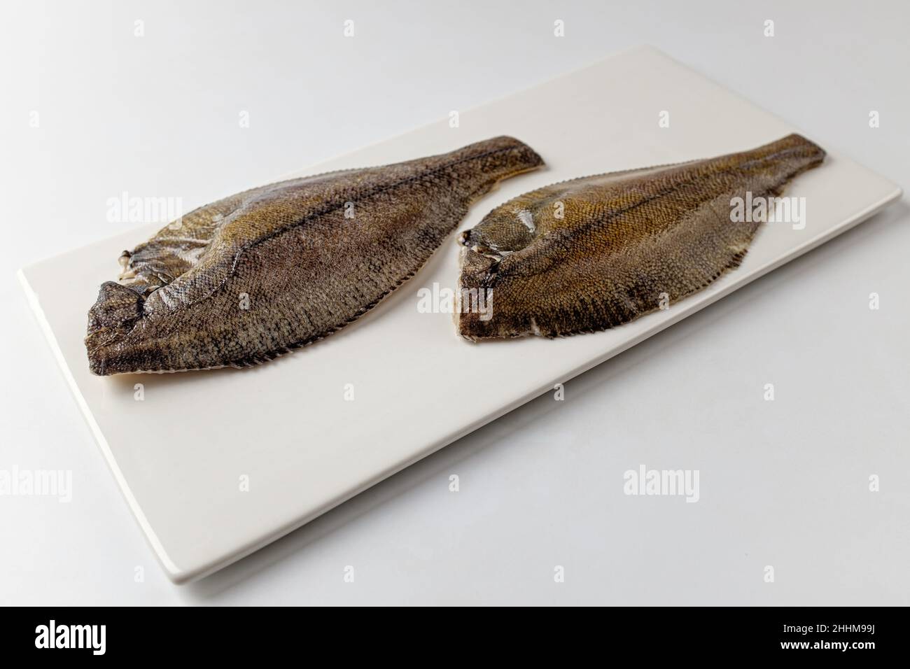 Poissons plats Banque de photographies et d’images à haute résolution ...