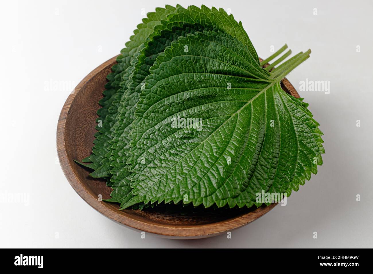 Feuilles parfumées Banque de photographies et d’images à haute ...