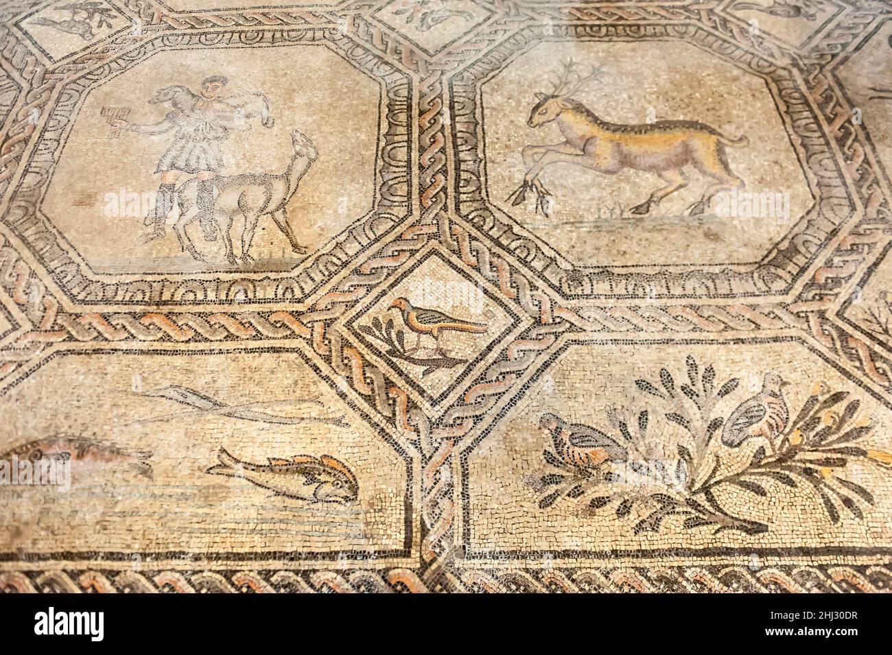 Archéologie, oiseau, colombes assis sur la branche, cerf, poisson ...