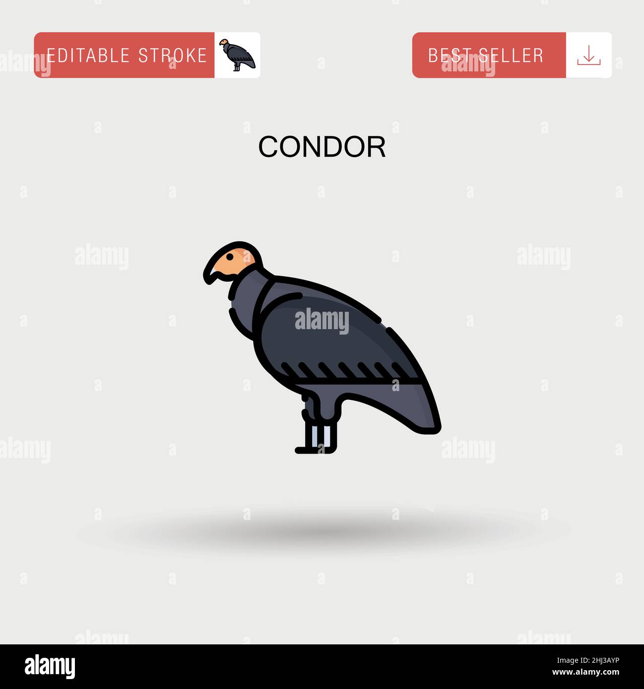 Vol de condor des andes sauvages Banque d'images vectorielles - Alamy