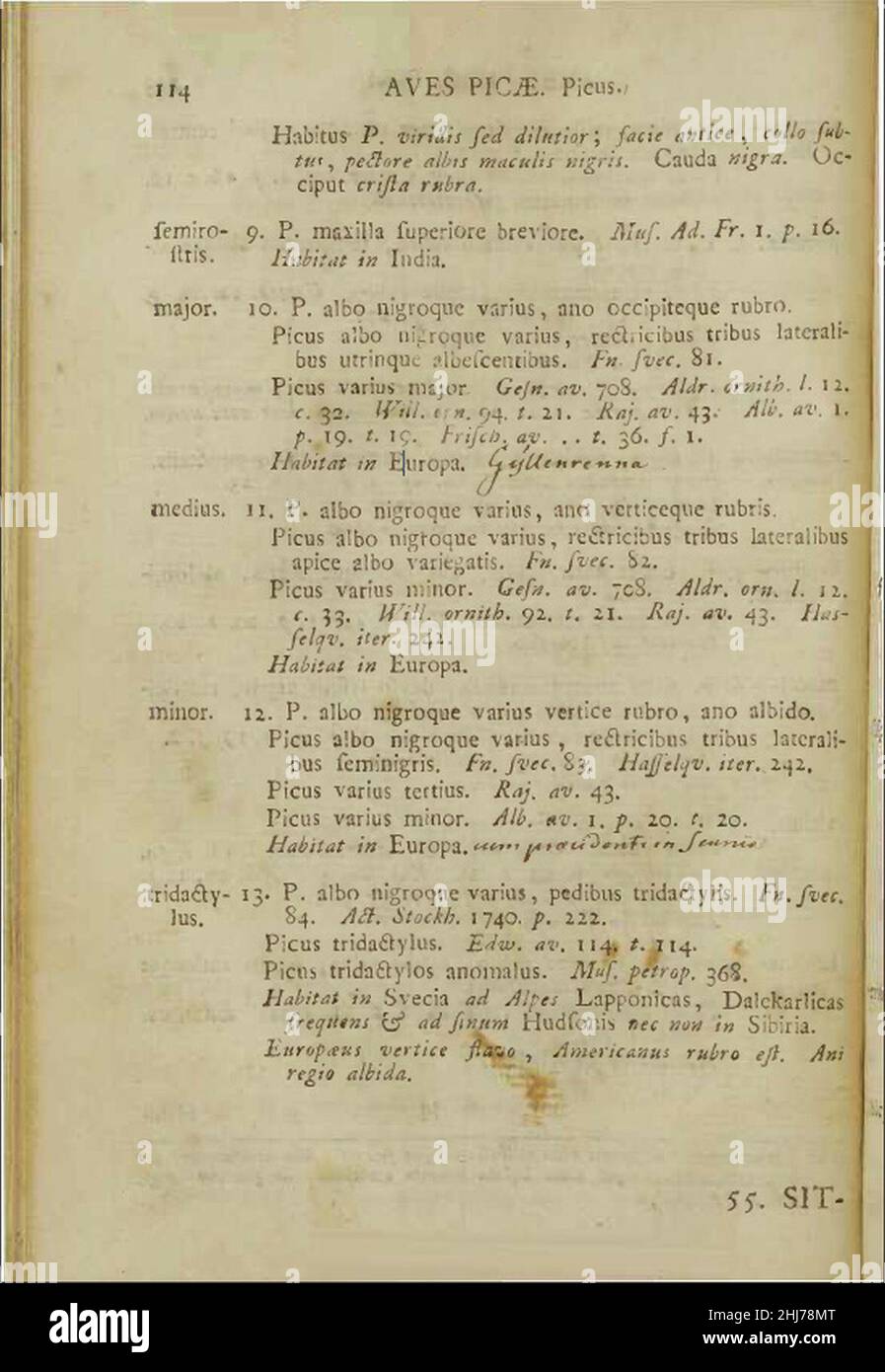 Systema naturae linnaeus Banque de photographies et d’images à haute ...