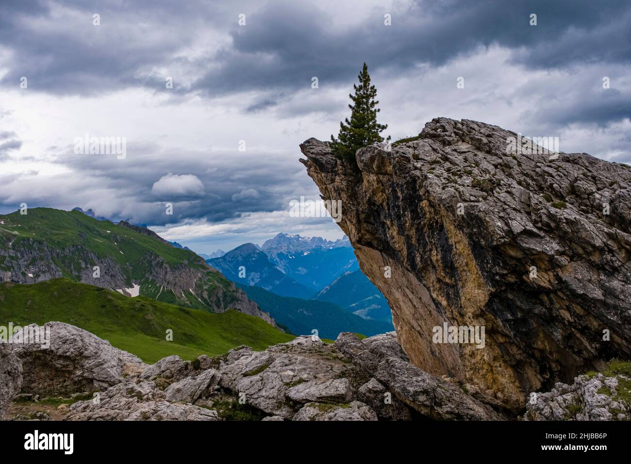 Arbres qui poussent sur une falaise Banque de photographies et d’images ...