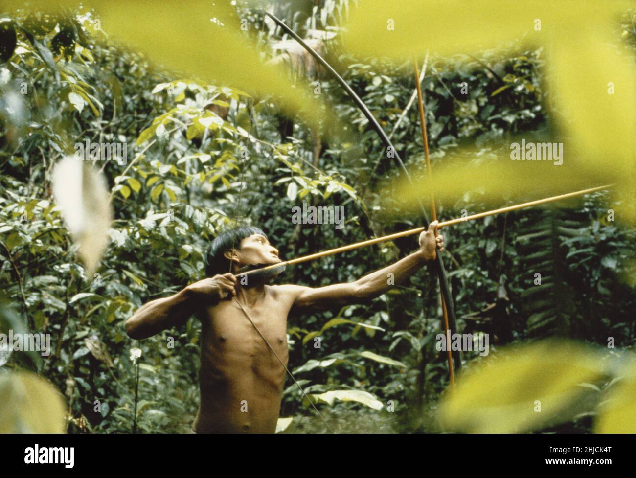 Chasse indienne yanomami Banque de photographies et d’images à haute ...