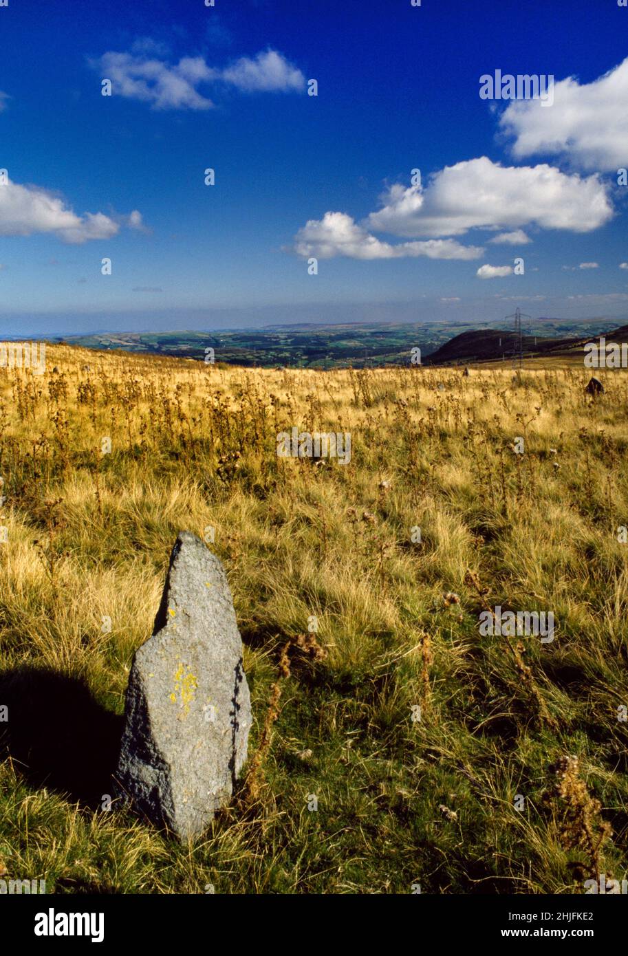 Cerrig pryfaid Banque de photographies et d’images à haute résolution ...