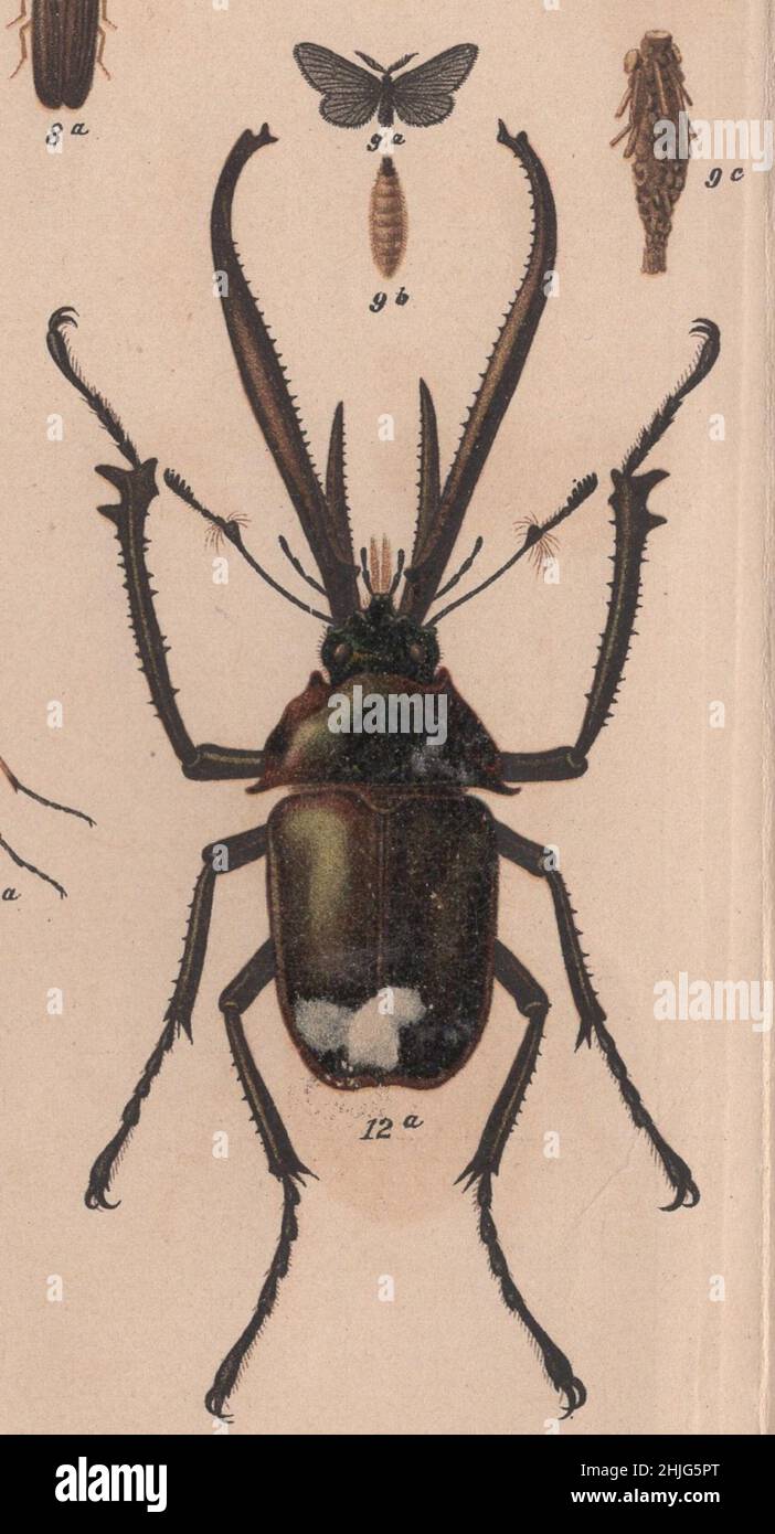 Nom anglais Banque de photographies et d’images à haute résolution - Alamy