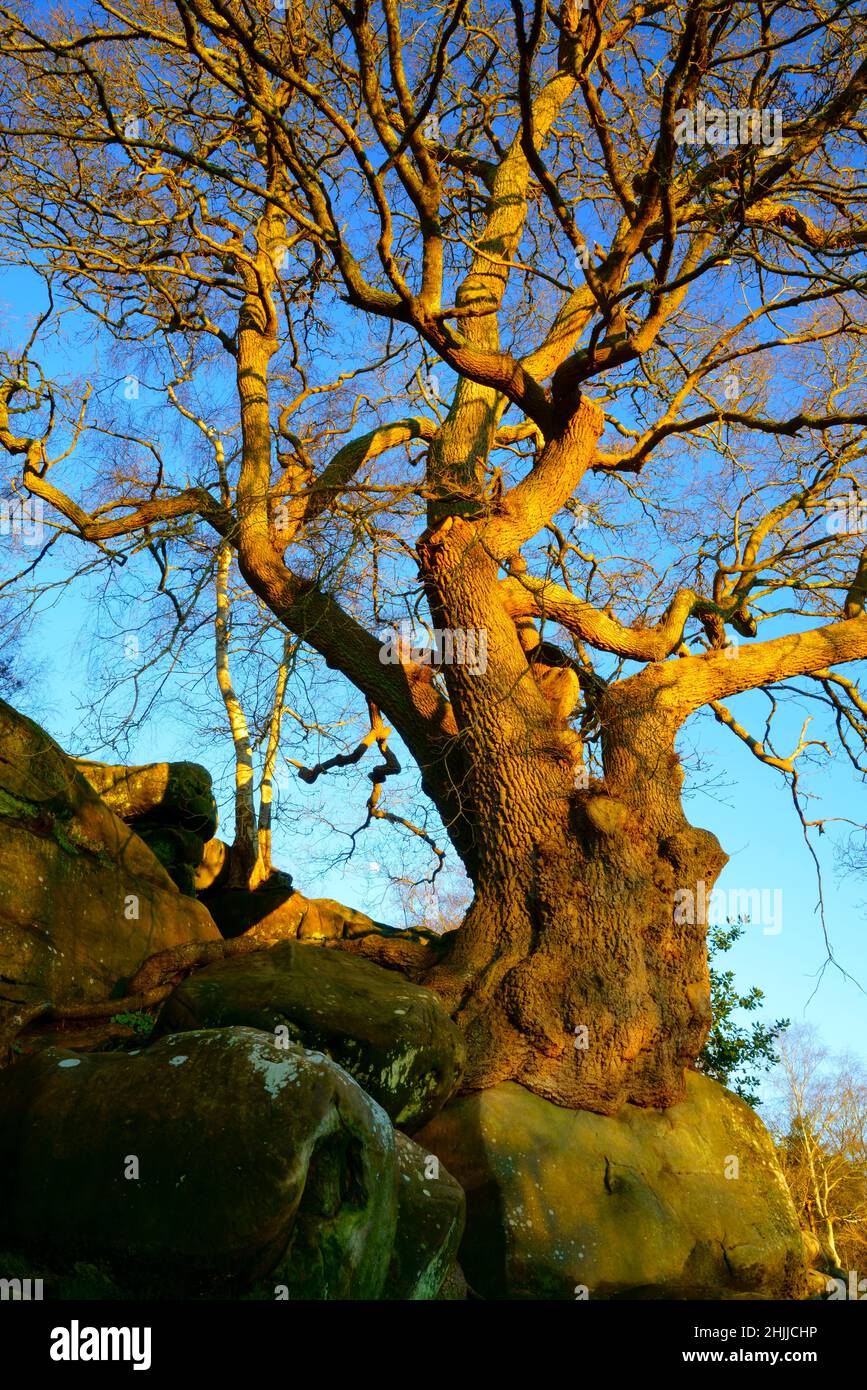 Harrisons rocks Banque de photographies et d’images à haute résolution ...