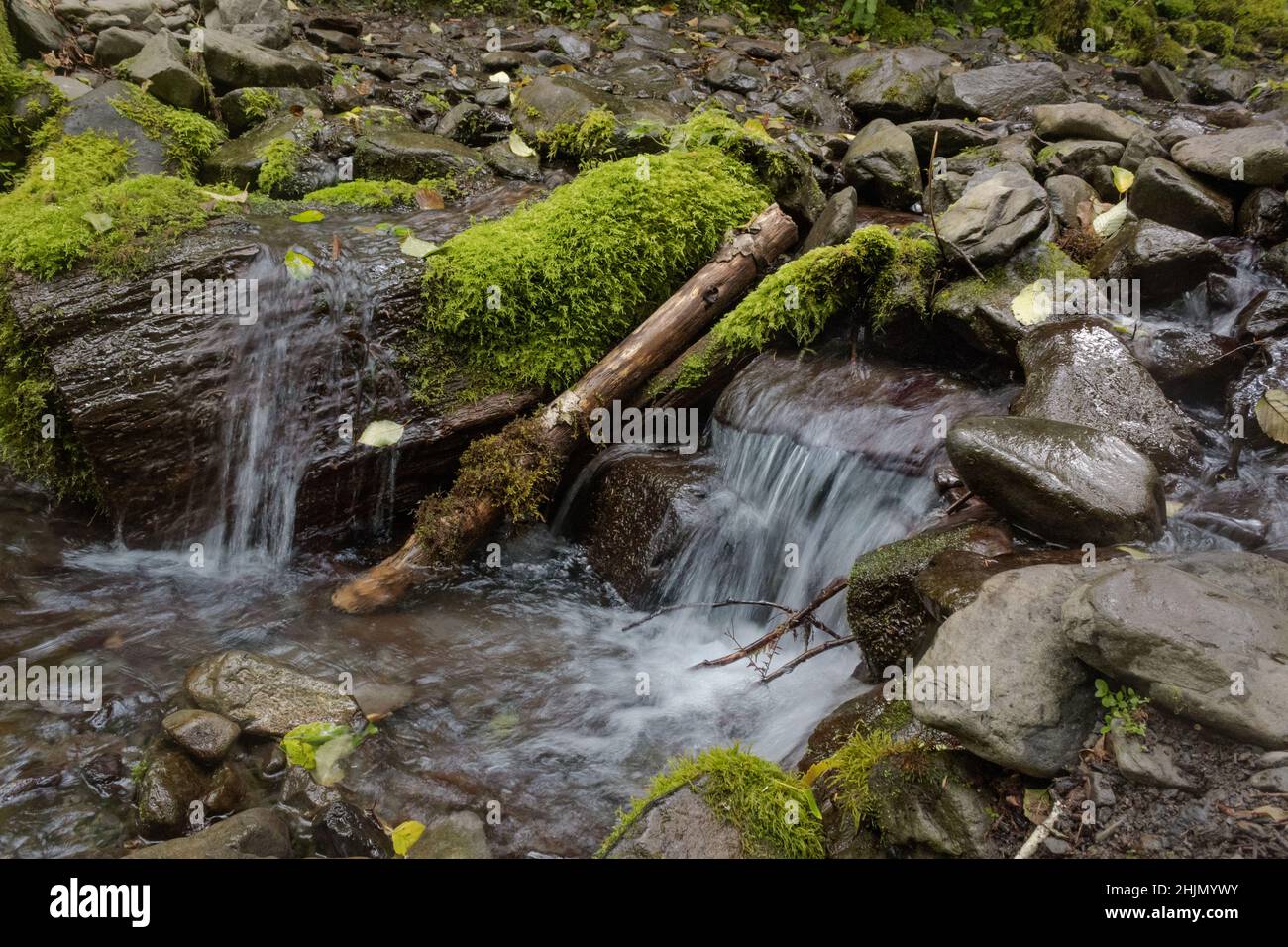Bumbling Banque de photographies et d’images à haute résolution - Alamy