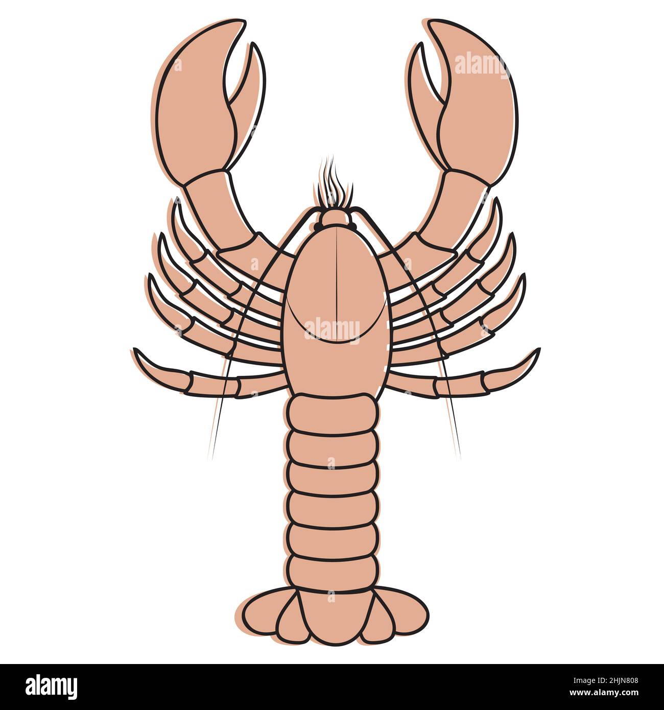 Homard, illustration vectorielle isolée par couleur sur fond blanc ...