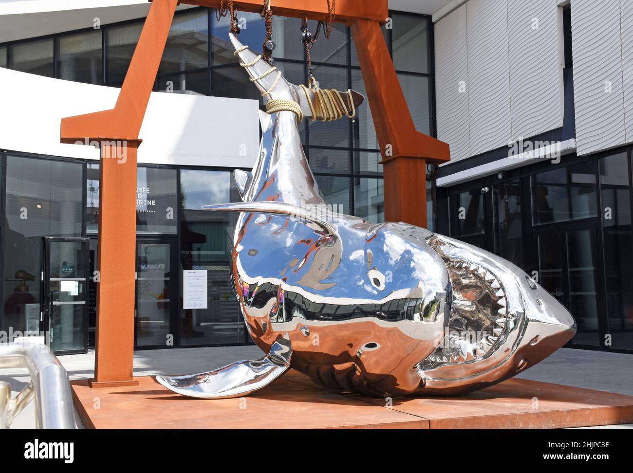 Sculpture frappante en métal très poli, d'un énorme requin capturé, à l ...