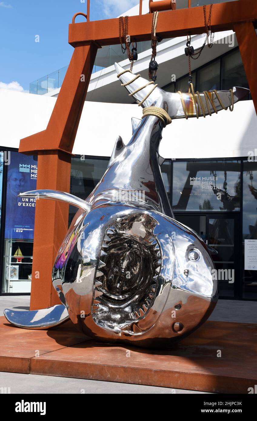 Sculpture frappante en métal très poli, d'un énorme requin capturé, à l ...