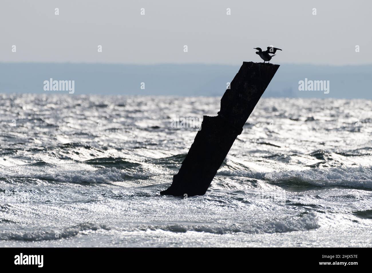 Projet 30bis destroyer Banque de photographies et d’images à haute ...