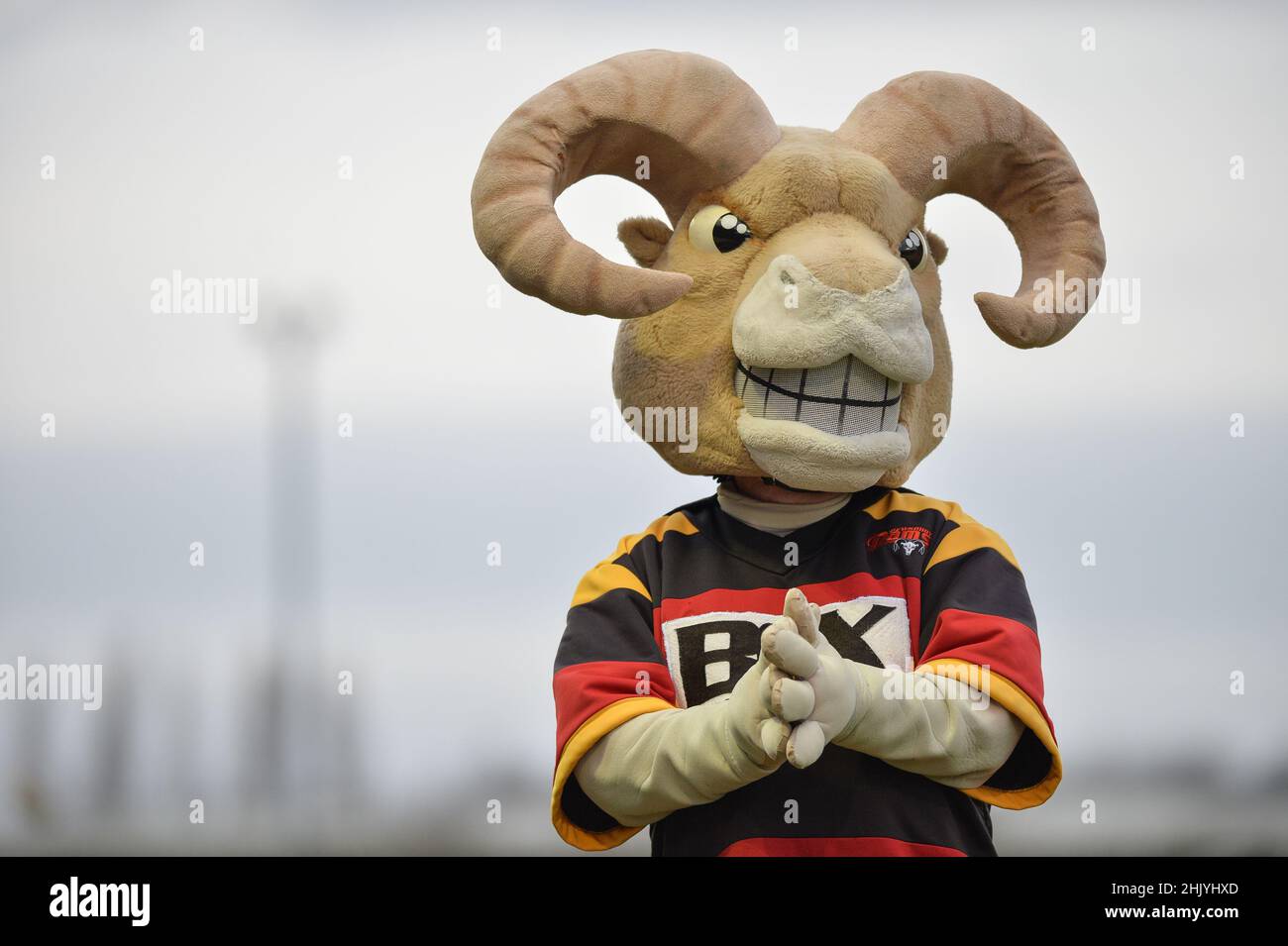 Mascotte des taureaux bradford Banque de photographies et d’images à ...