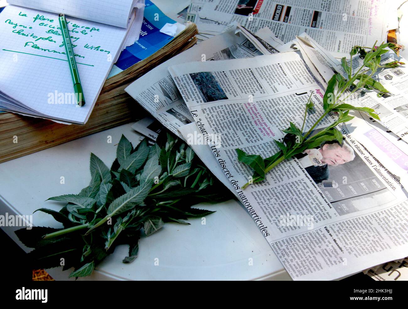 Observation scientifique Banque de photographies et d’images à haute ...