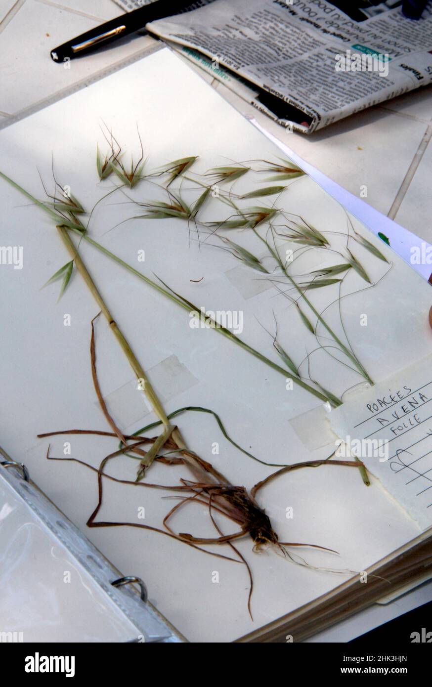 Observation scientifique Banque de photographies et d’images à haute ...