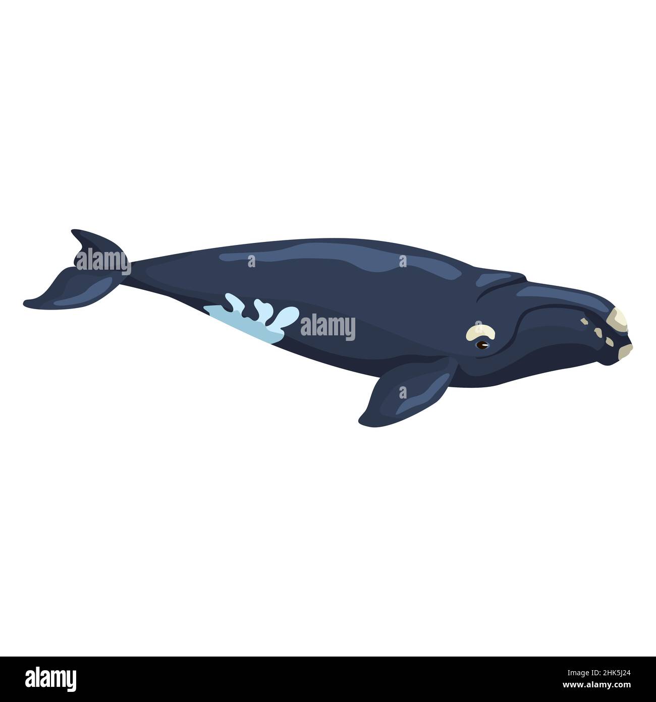 Baleine Droite Isolée Sur Fond Blanc Personnage De Dessin Animé De L