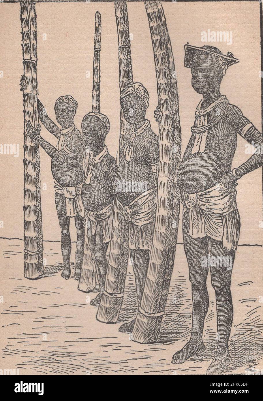 Teleki volcano Banque de photographies et d’images à haute résolution ...