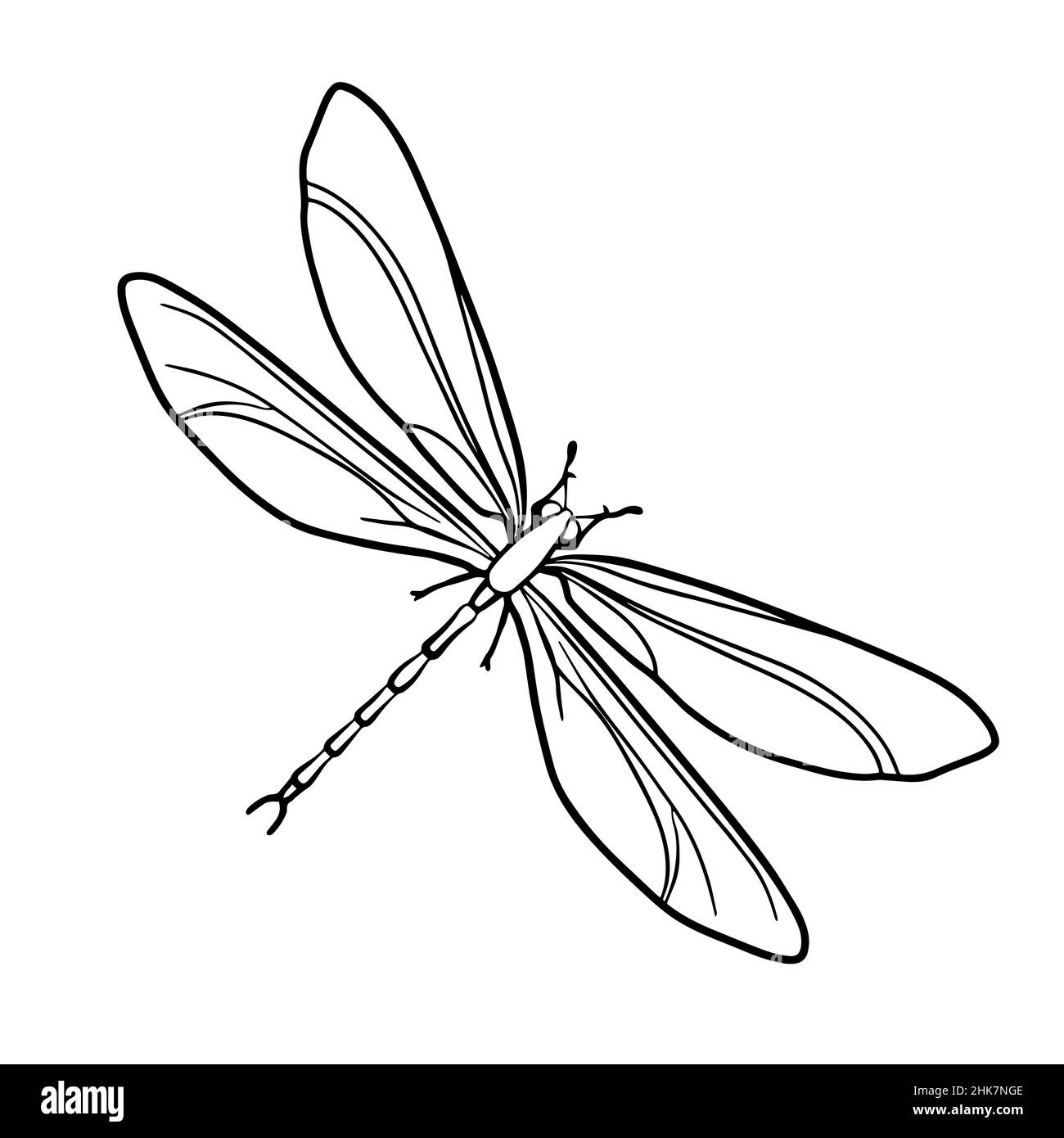 Dessin de contour d'une libellule sur fond blanc.Style Doodle.Un ...