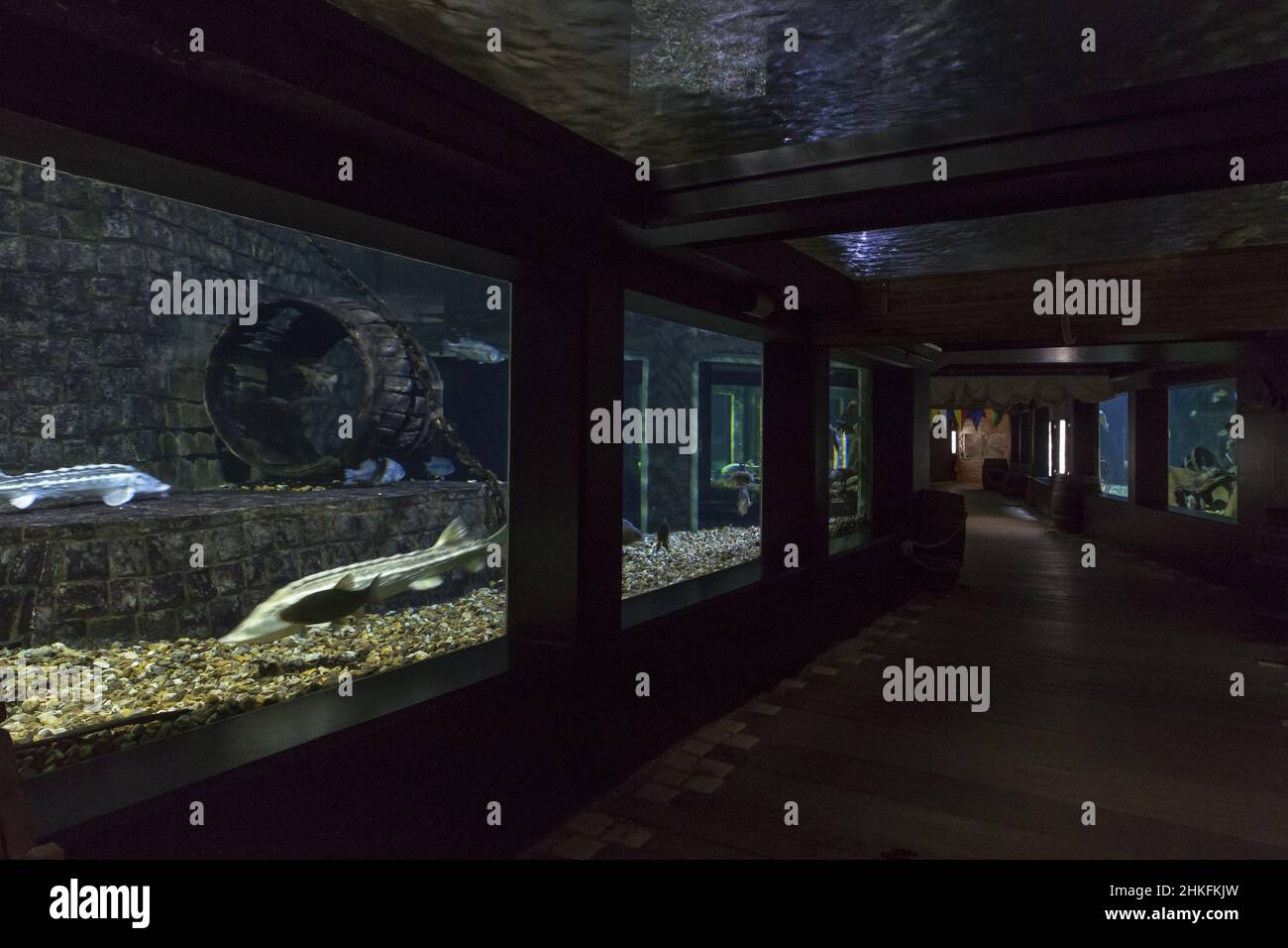 France, Indre et Loire, vallée de la Loire classée au patrimoine ...