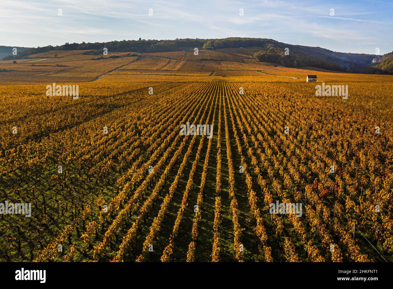 France, Côte d'Or, Paysage culturel des climats de Bourgogne classé au patrimoine mondial de l ...