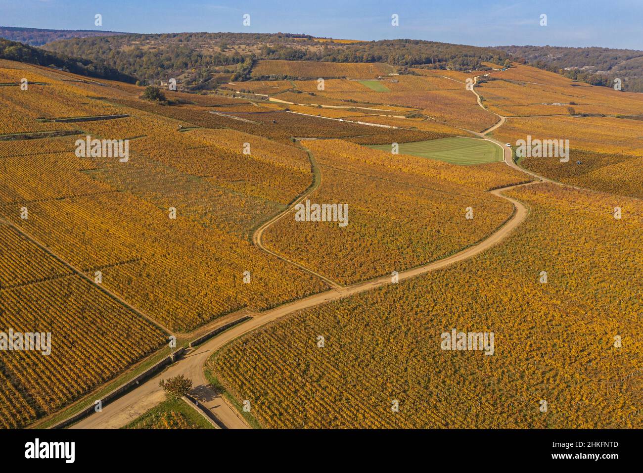 France, Côte d'Or, Paysage culturel des climats de Bourgogne classé au patrimoine mondial de l ...