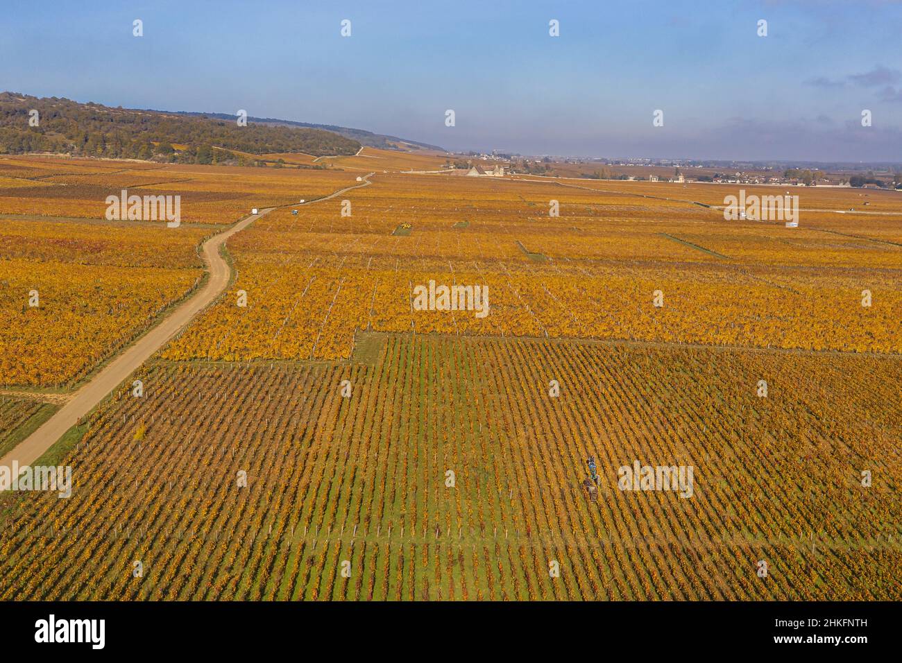 France, Côte d'Or, Paysage culturel des climats de Bourgogne classé au patrimoine mondial de l ...