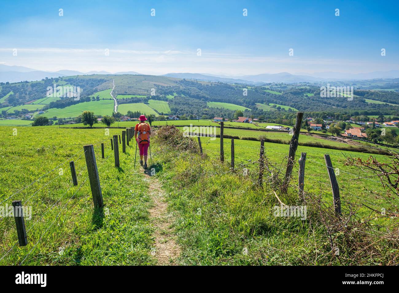 France, Pyrénées-Atlantiques, Saint-Palais, randonnée sur la via ...
