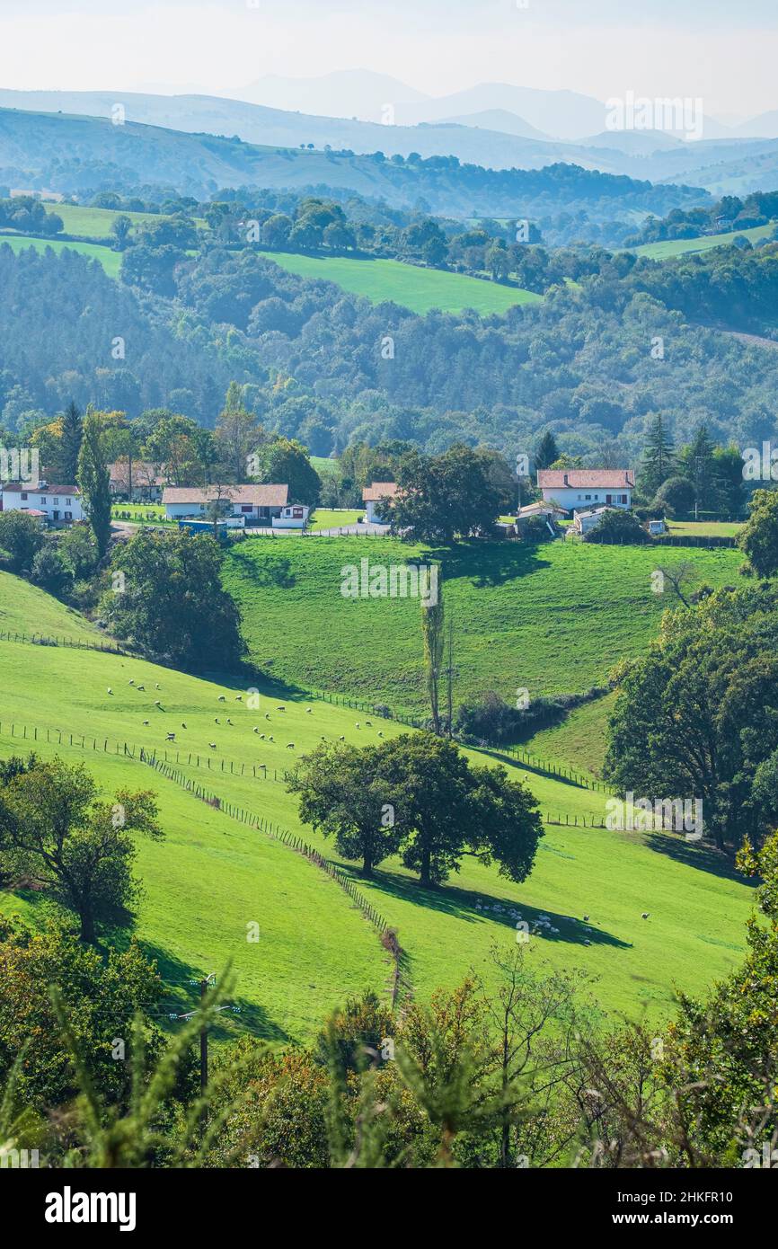 France, Pyrénées-Atlantiques, Saint-Palais, scène sur la via ...