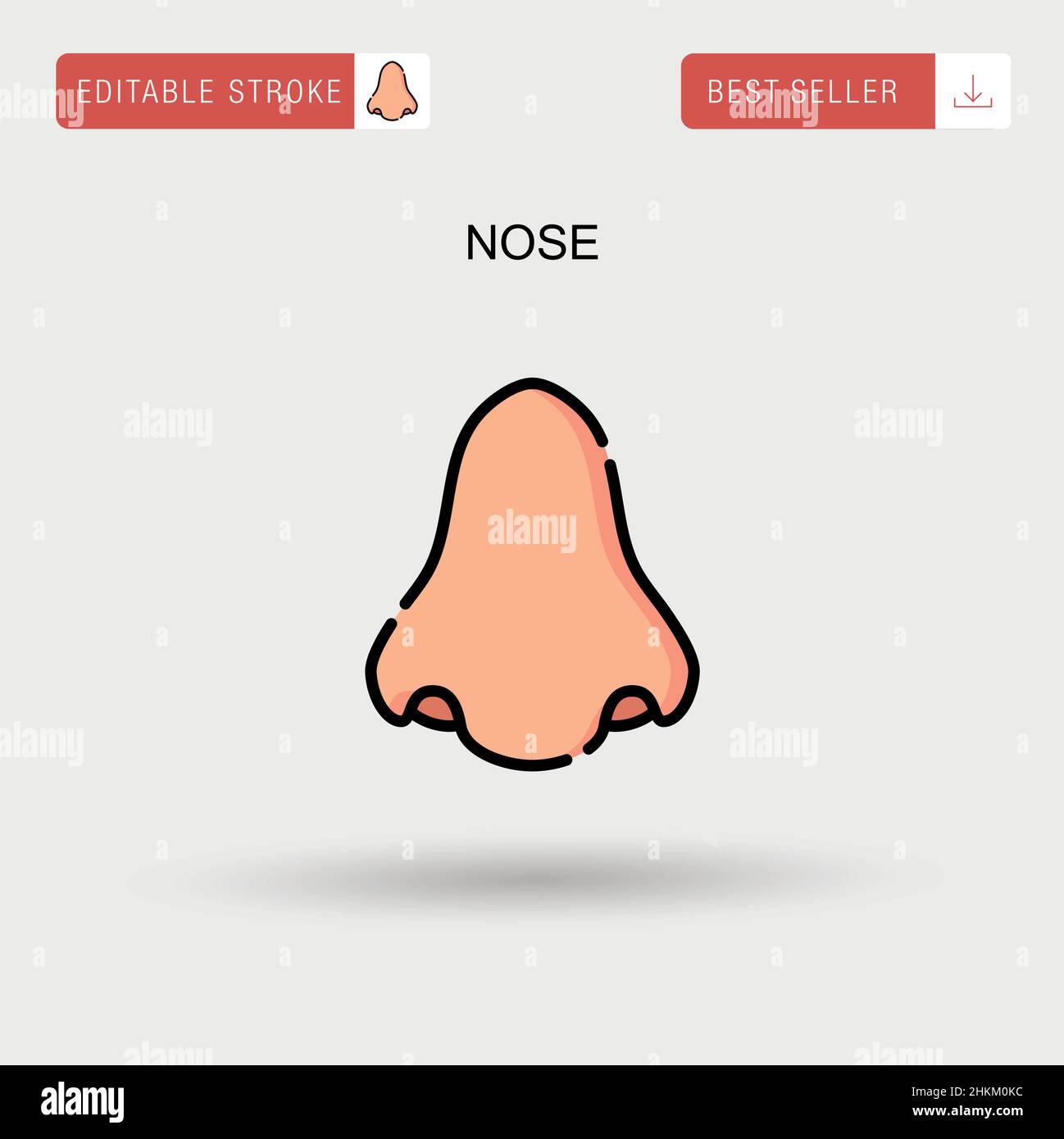 Anatomie Du Nez Banque d'images vectorielles - Alamy