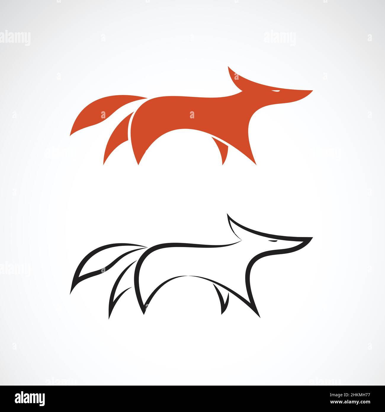 Motif vectoriel de renard sur fond blanc, animaux sauvages ...