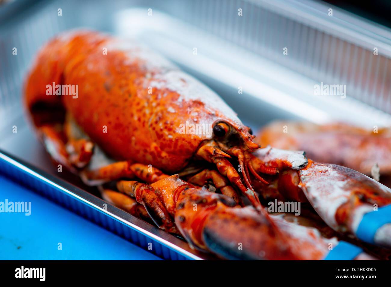 Gros plan d'un homard cuit exposé sur un marché de poissons en Italie ...