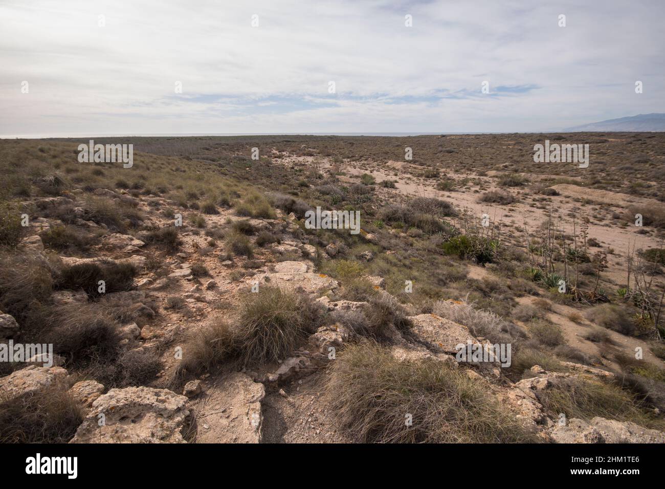 Parc naturel de Cabo de Gata, paysage aride, zone désertique Amoladeras ...
