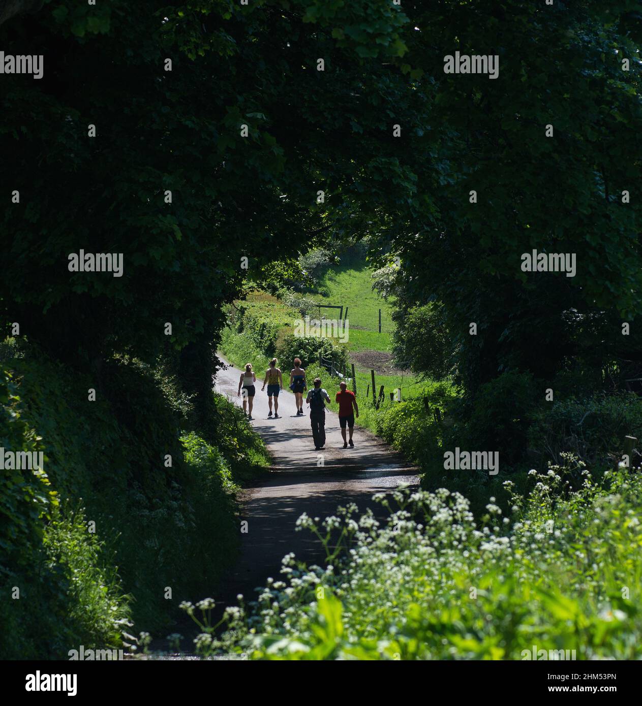 Balade d'été Banque de photographies et d’images à haute résolution - Alamy