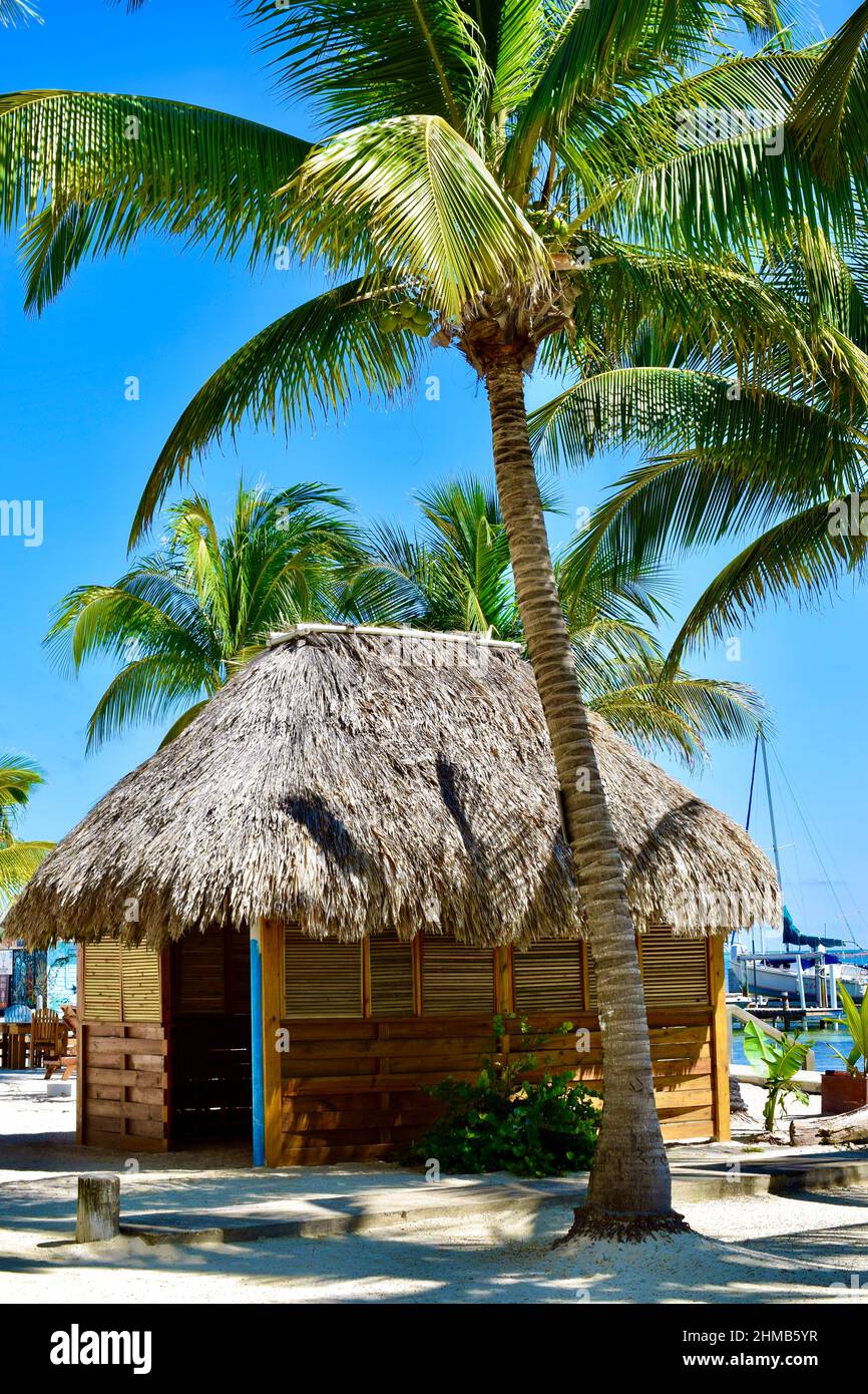 Cabane de plage au toit de chaume Banque de photographies et d’images à haute résolution - Alamy