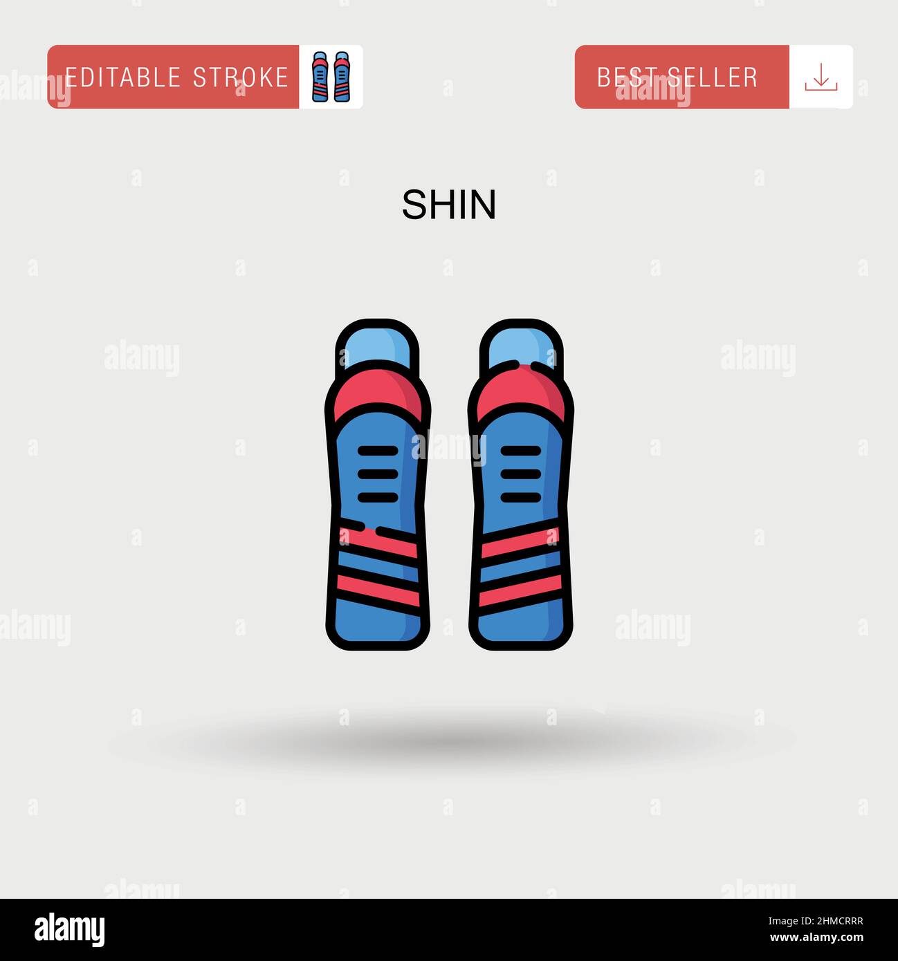 Shin bone Banque d'images vectorielles - Alamy