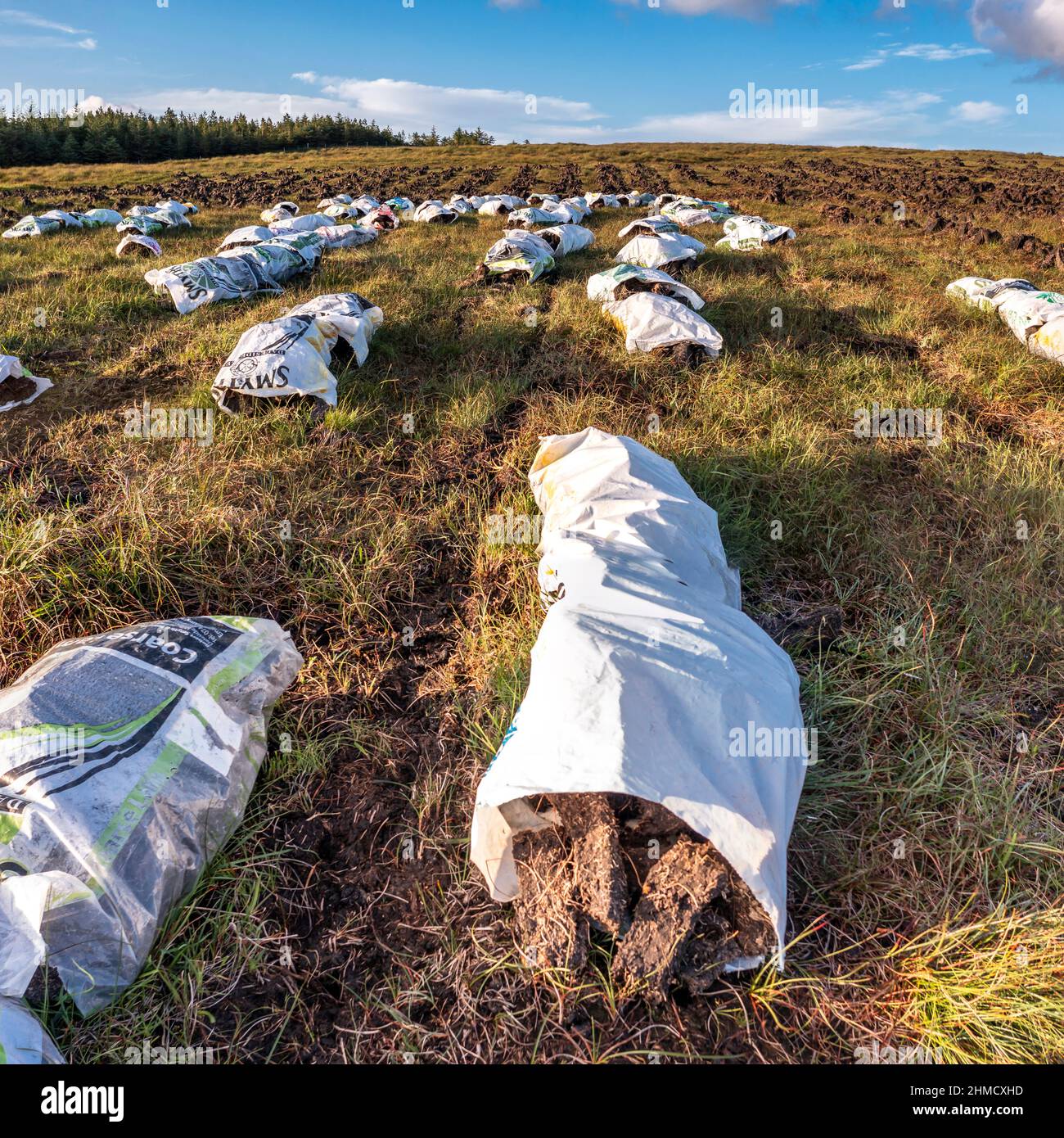 Sac de tourbe Banque de photographies et d’images à haute résolution ...