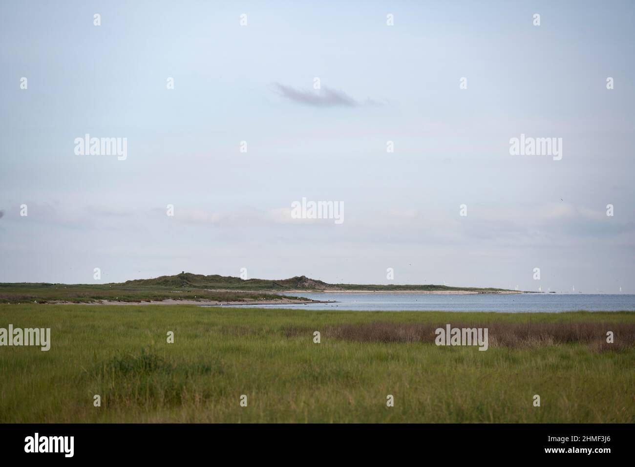 Réserve ornithologique de Kalfamer, Parc national de la Mer des Wadden ...