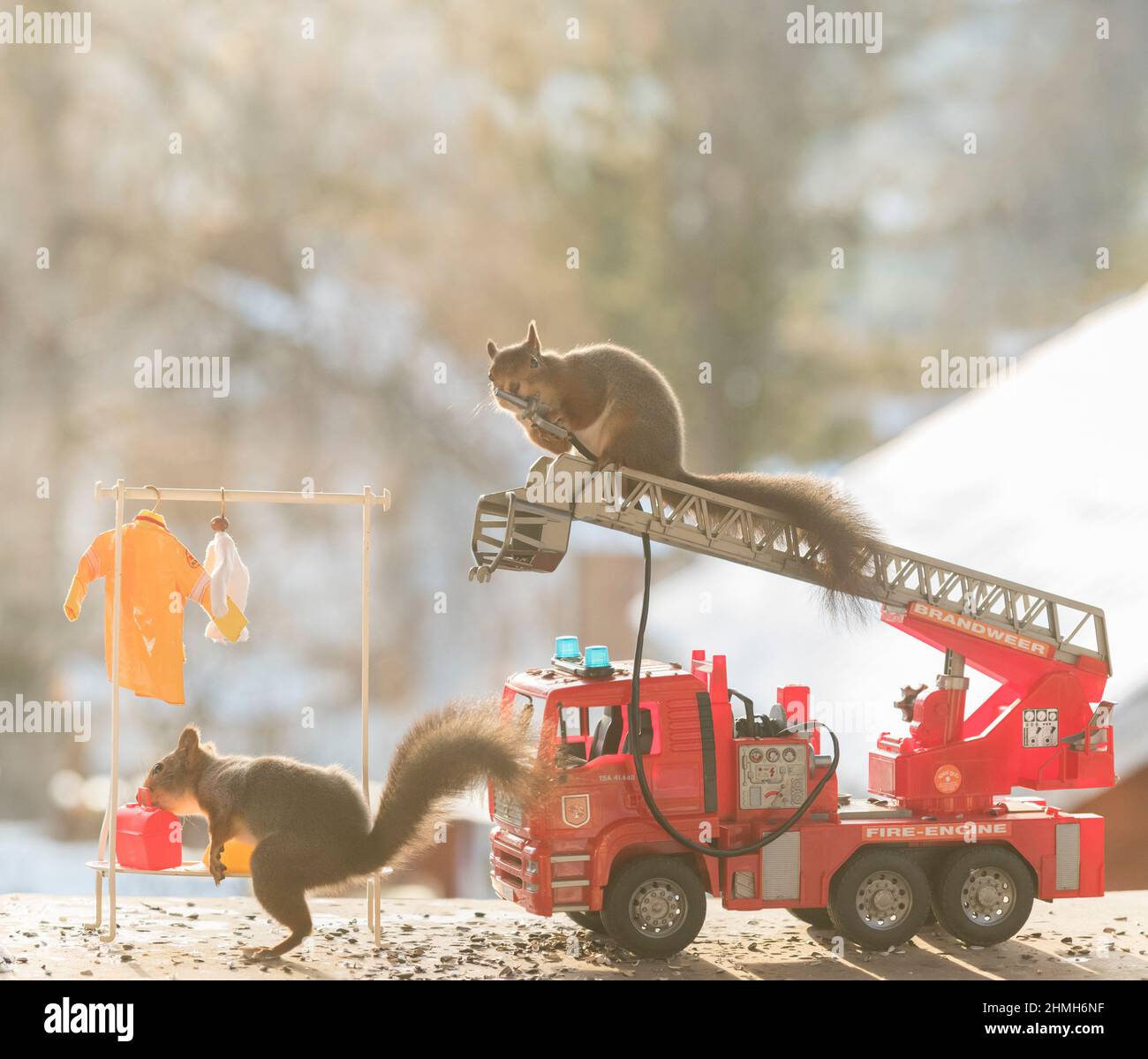 échelle sur camion de pompier Banque de photographies et d’images à ...