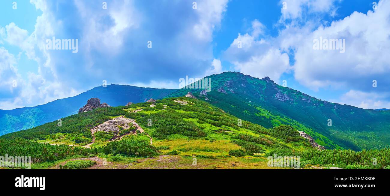 Paysage de toundra alpine Banque de photographies et d’images à haute ...