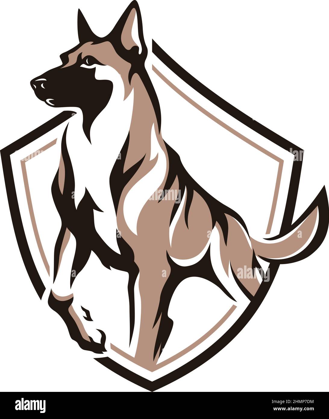 Chien de berger belge malinois Banque d'images vectorielles - Alamy