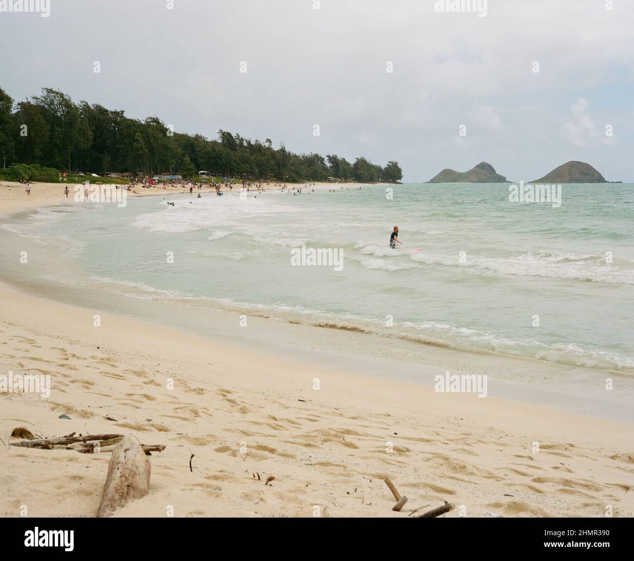 Air bellows Banque de photographies et d’images à haute résolution - Alamy