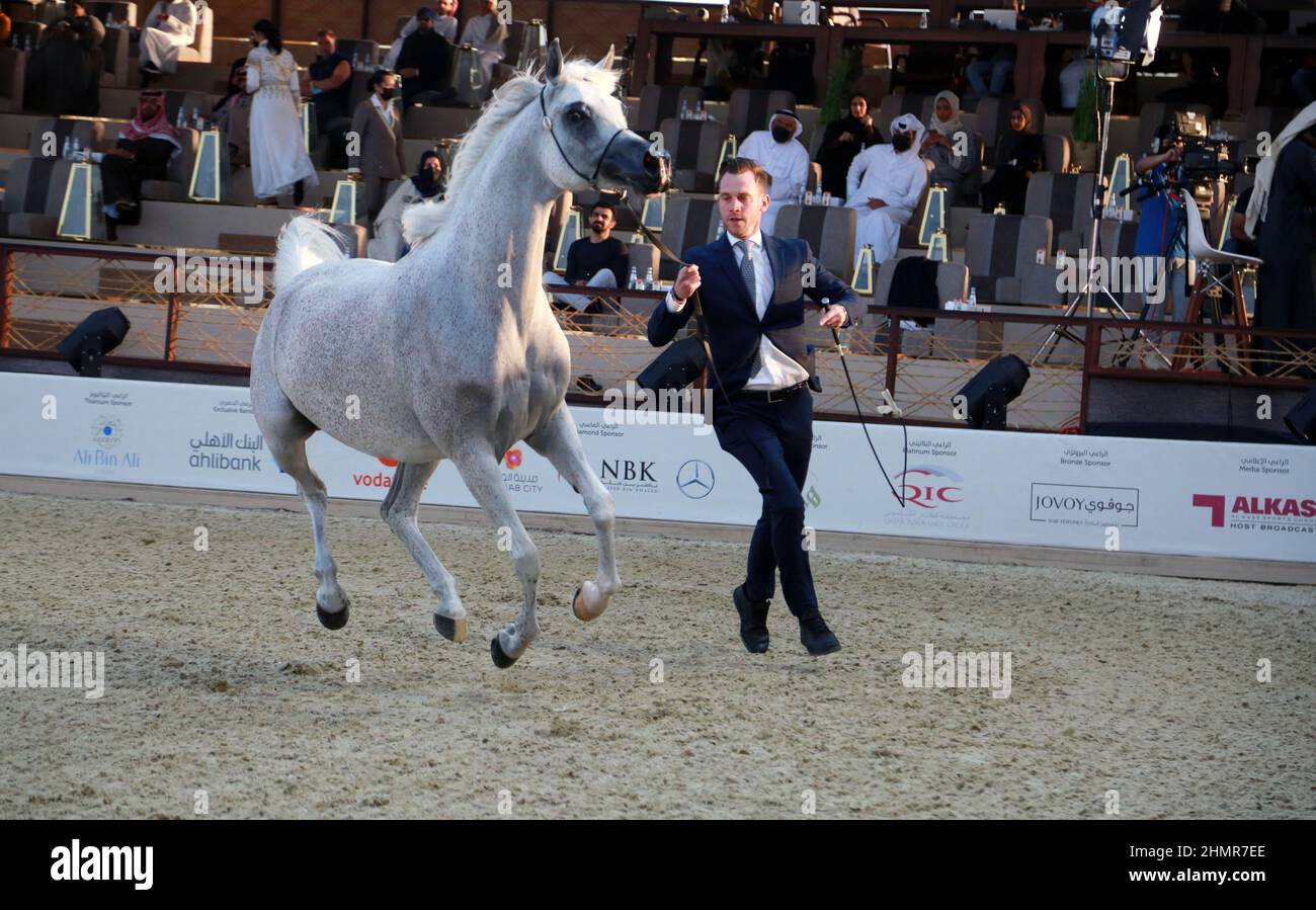 Doha., Qatar. 11th févr. 2022. Le festival international du cheval ...