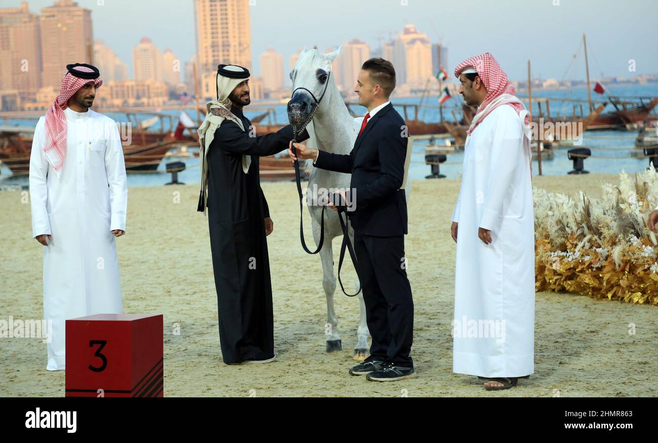 Fêtes du cheval au qatar Banque de photographies et d’images à haute ...