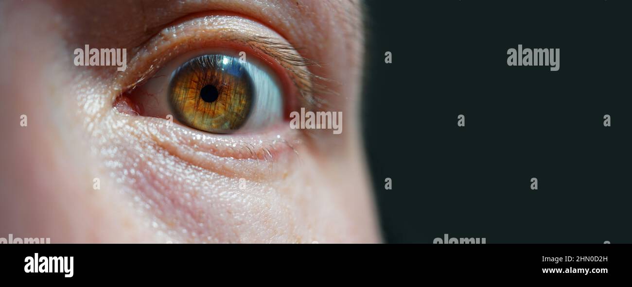 Hazel eye Banque de photographies et d’images à haute résolution - Alamy