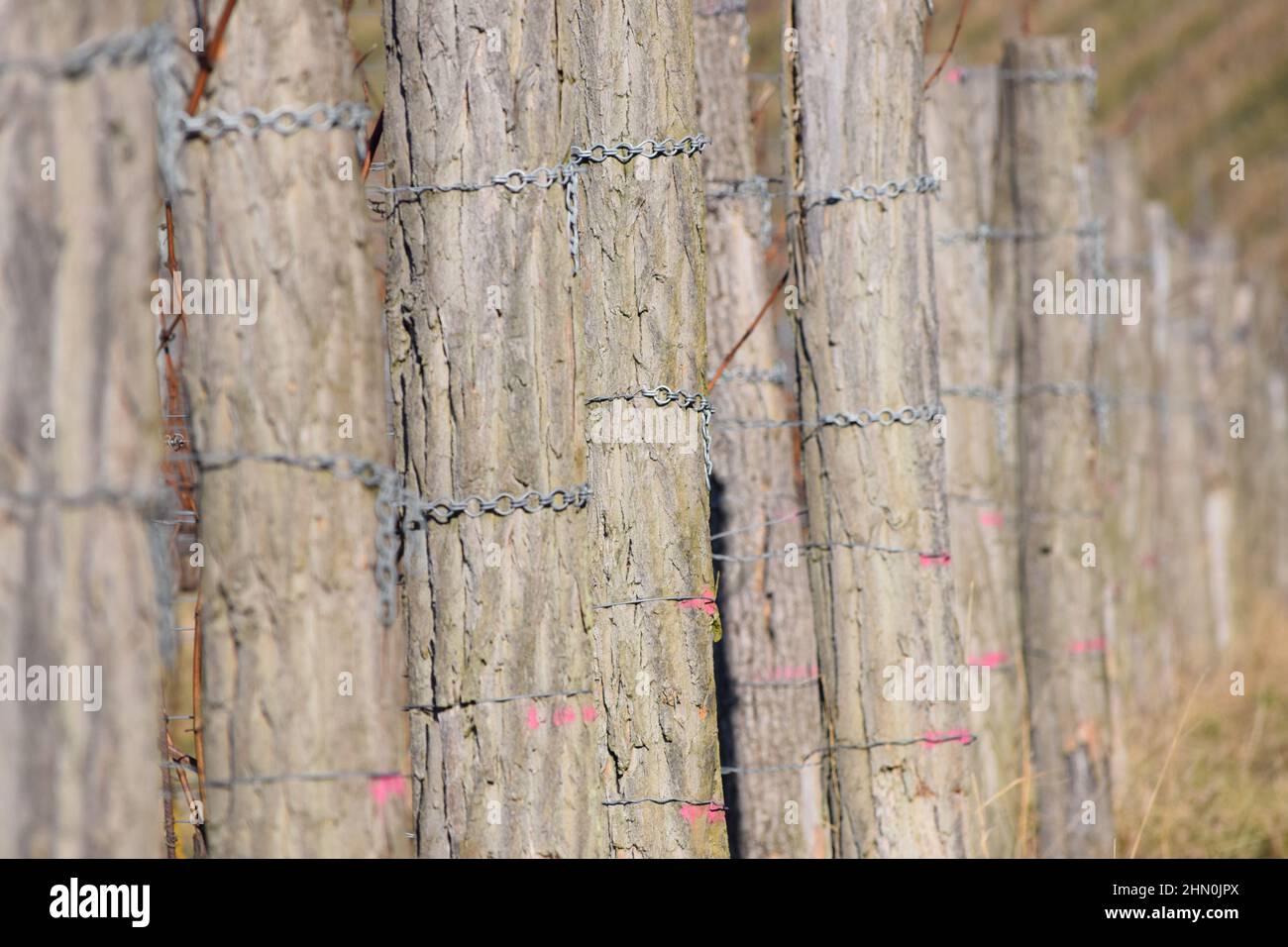 Poteaux flexibles Banque de photographies et d’images à haute résolution - Alamy