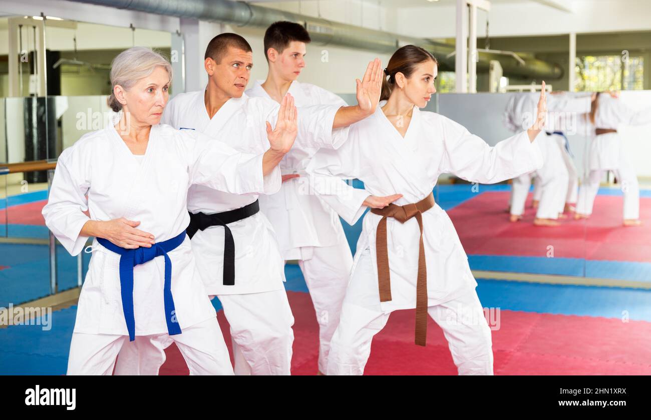Les femmes et les hommes qui font du kata pendant la formation de ...