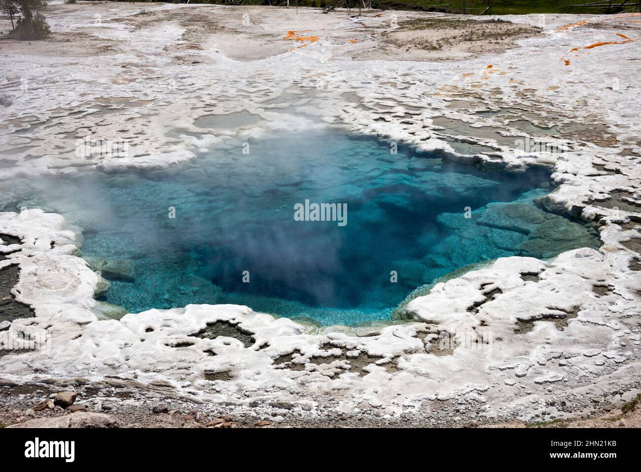 Artemisia Geyser, montrant une grande plate-forme de geyserite, Cascade ...