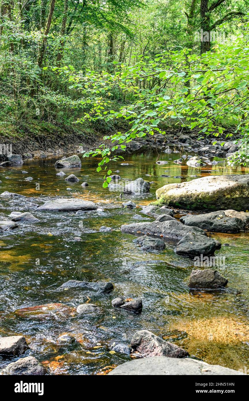 La rivière Rouve s'est creusée dans les rochers de la Roche d'Oëtre ...