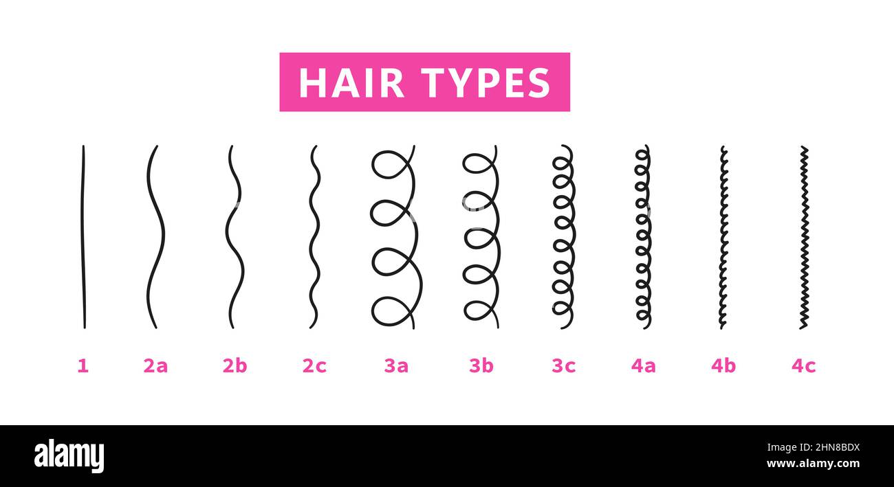 Classification des types de cheveux - droits, ondulés, bouclés, kinky ...